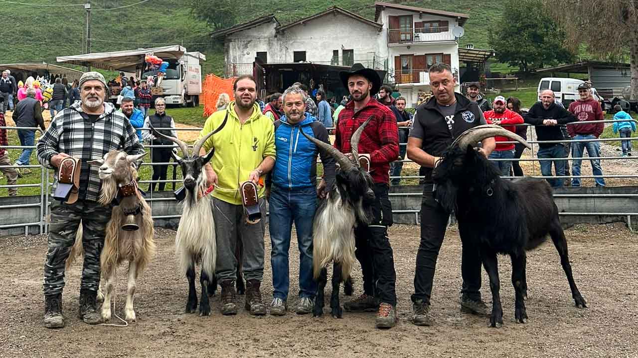 Valle Rossa: al via la 5° edizione della Fiera delle Capre - MyValley ...