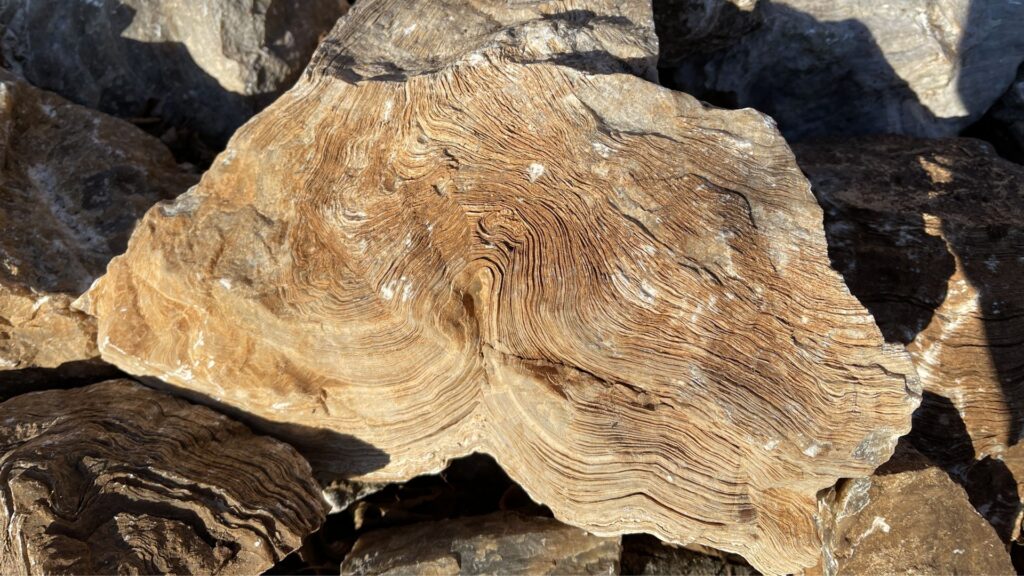 Albino, la riscoperta delle cave di alabastro - MyValley.it notizie!