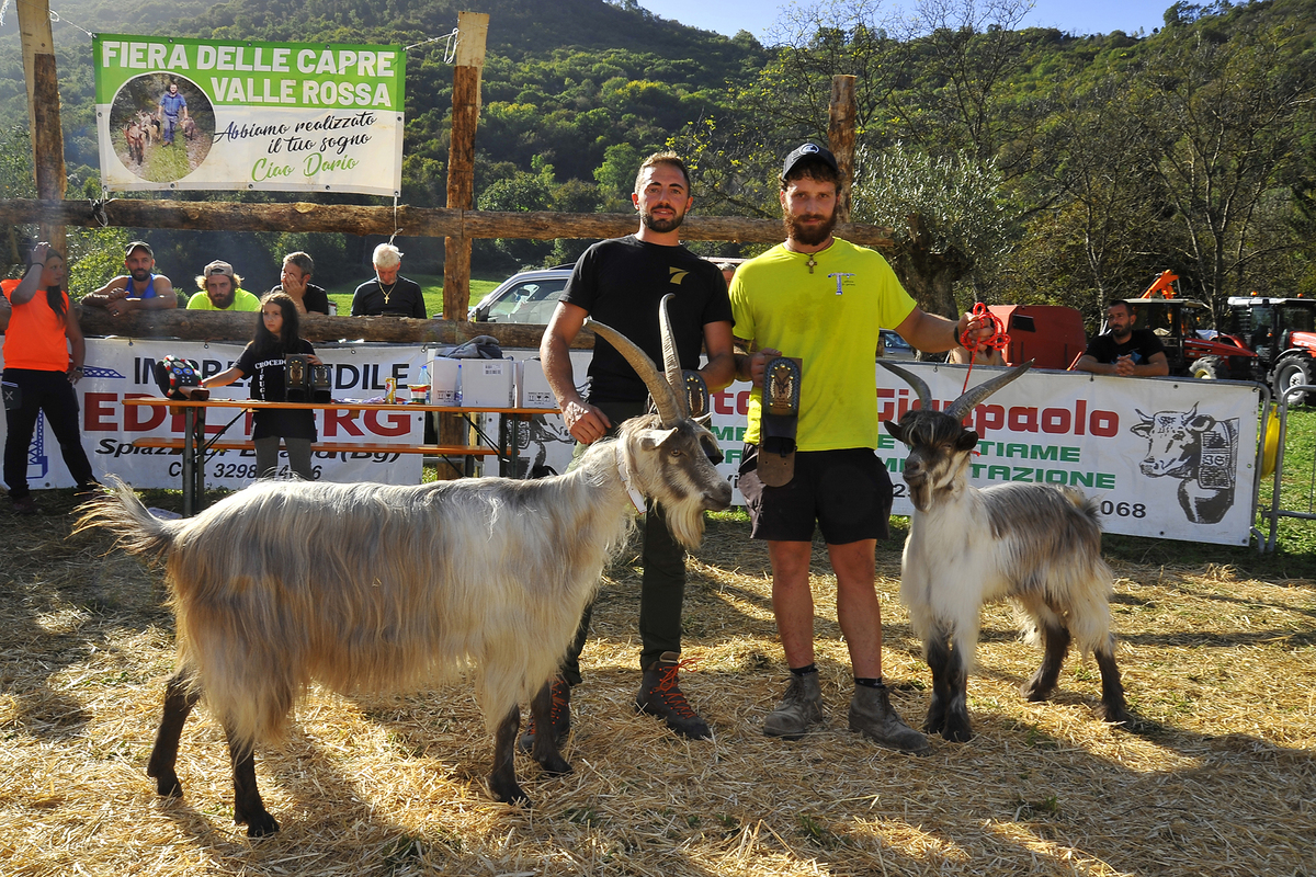 Fiera delle Capre: successo per la nuova location in Valle Rossa ...