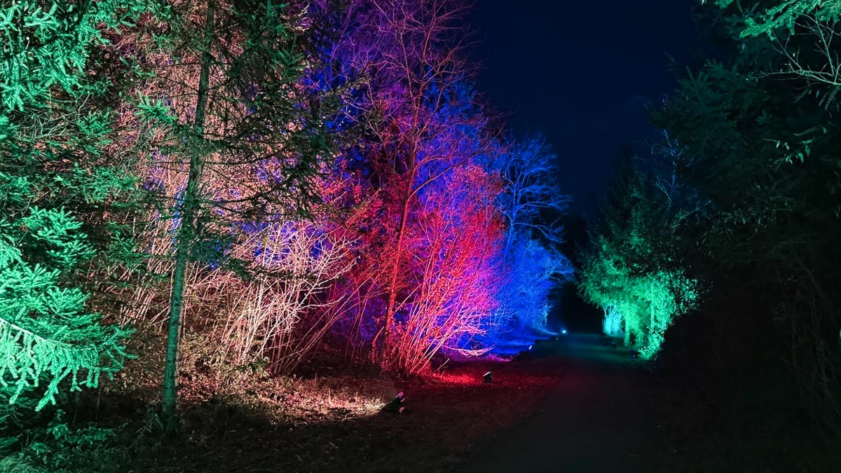 Fino del Monte, il Parco Res s'illumina per Natale - MyValley.it notizie!